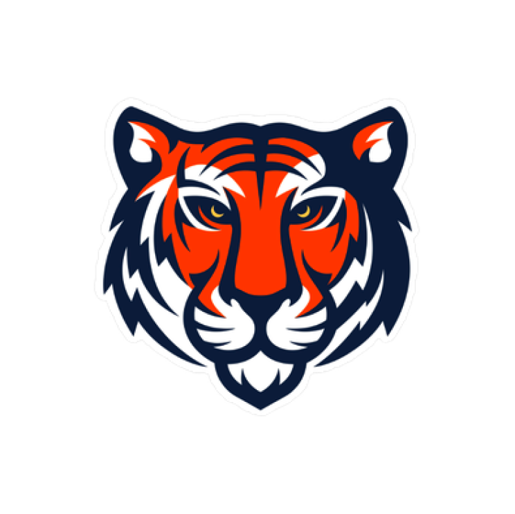 Tiger Packaging - Custom projects & base products - Vetted | Pietra