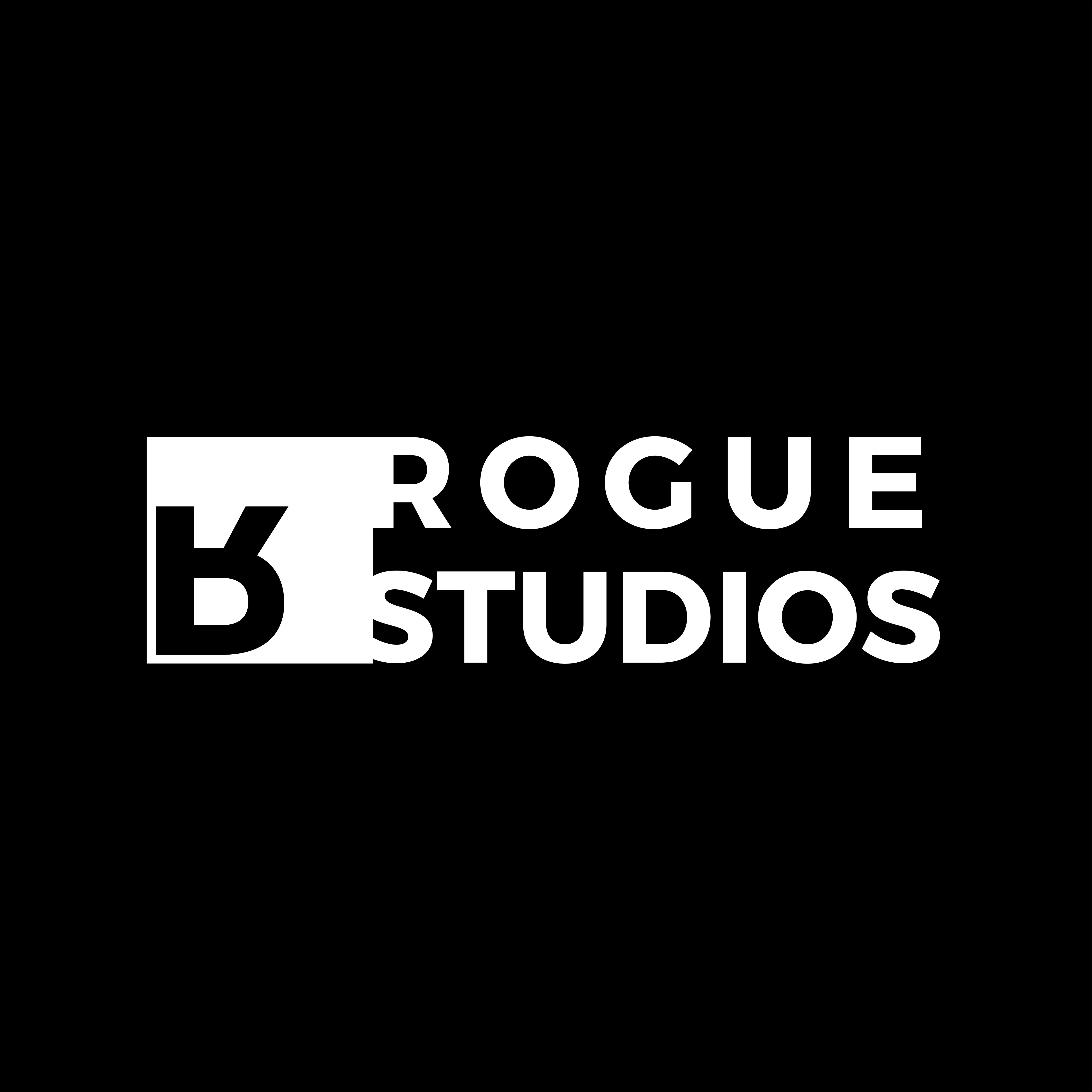 Rogue Studios - Custom projects & base products - Vetted | Pietra